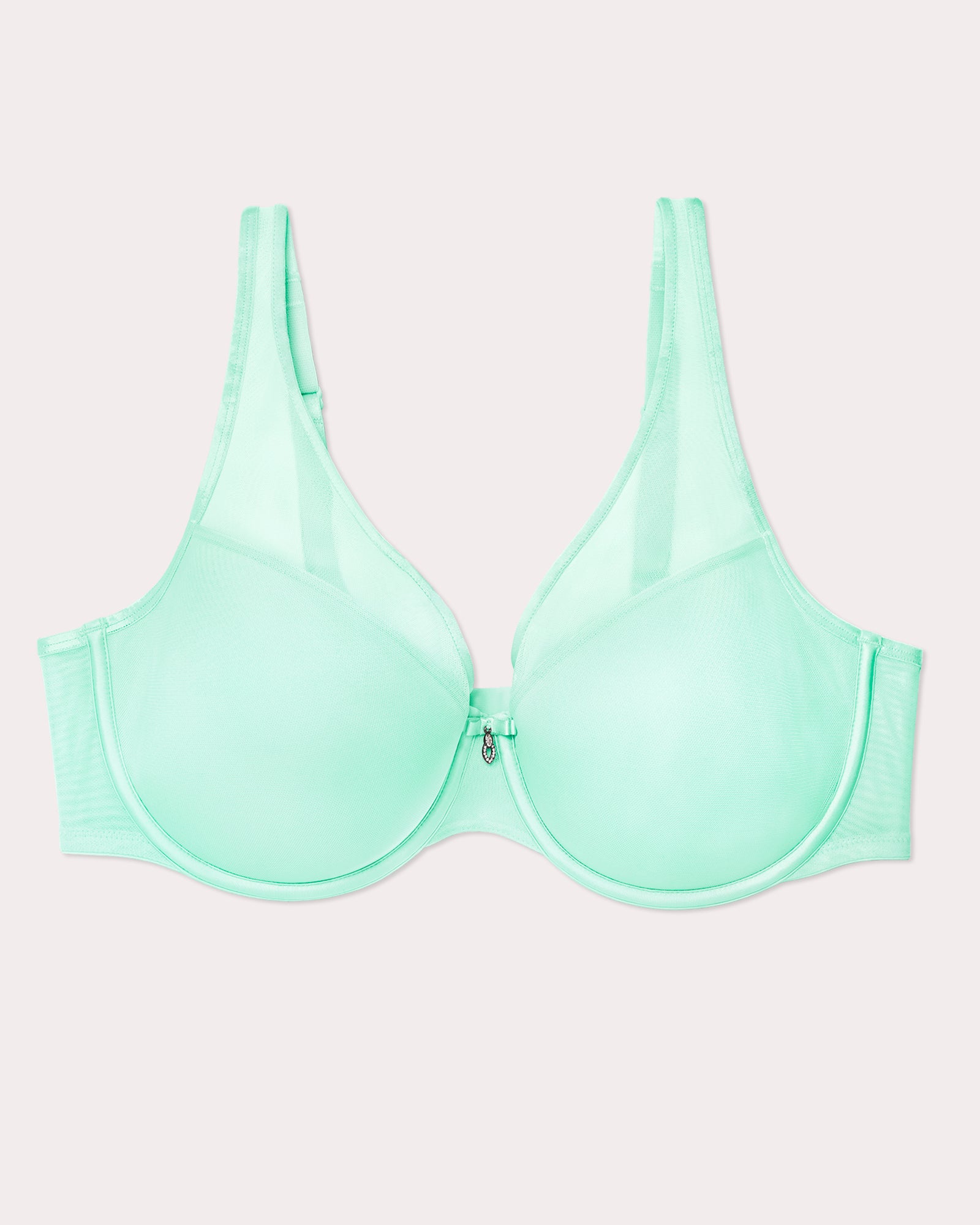 Sheer Mesh Plunge T-Shirt Bra - Mint Chip – Curvy Couture