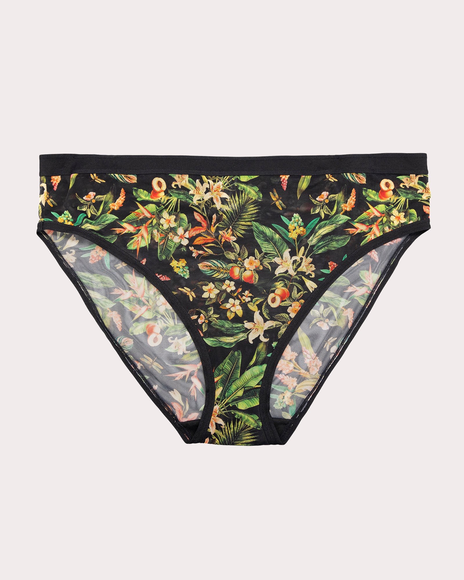 Sheer Mesh High Cut Brief Panty - Dragonfly Garden – Curvy Couture